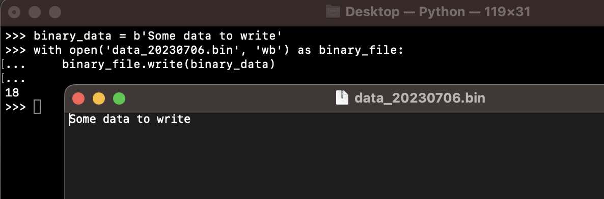 How To Write A Binary File In Python Code2care